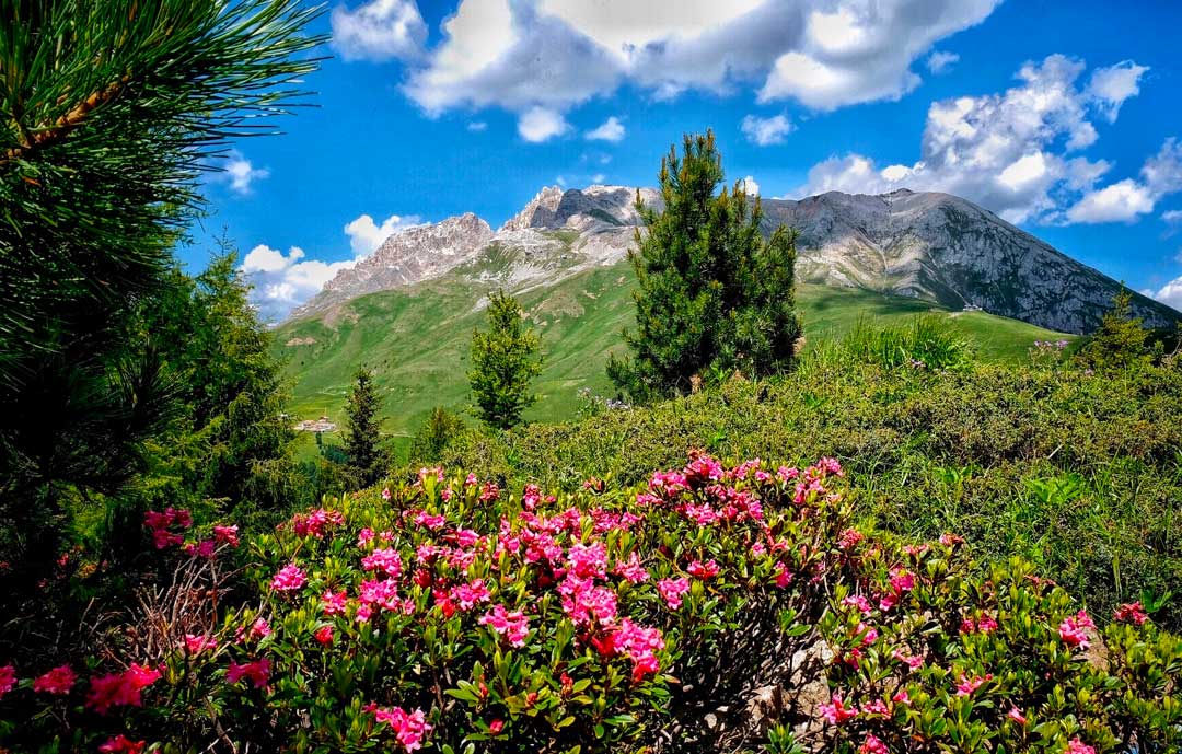 La Val di Fiemme ci riavvicina alla natura - Itinerari e Luoghi